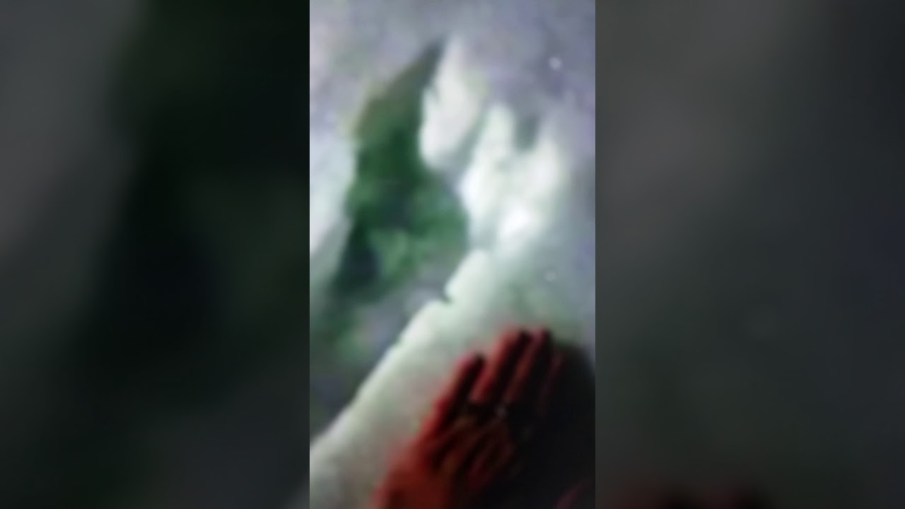 DOGMAN TRACKS. FOOTPRINT FOUND JANUARY 2021 - YouTube