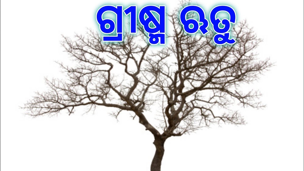 grisma rutu।। grisma rutu rachana।।grisma rutu odia rachana।। summer ...