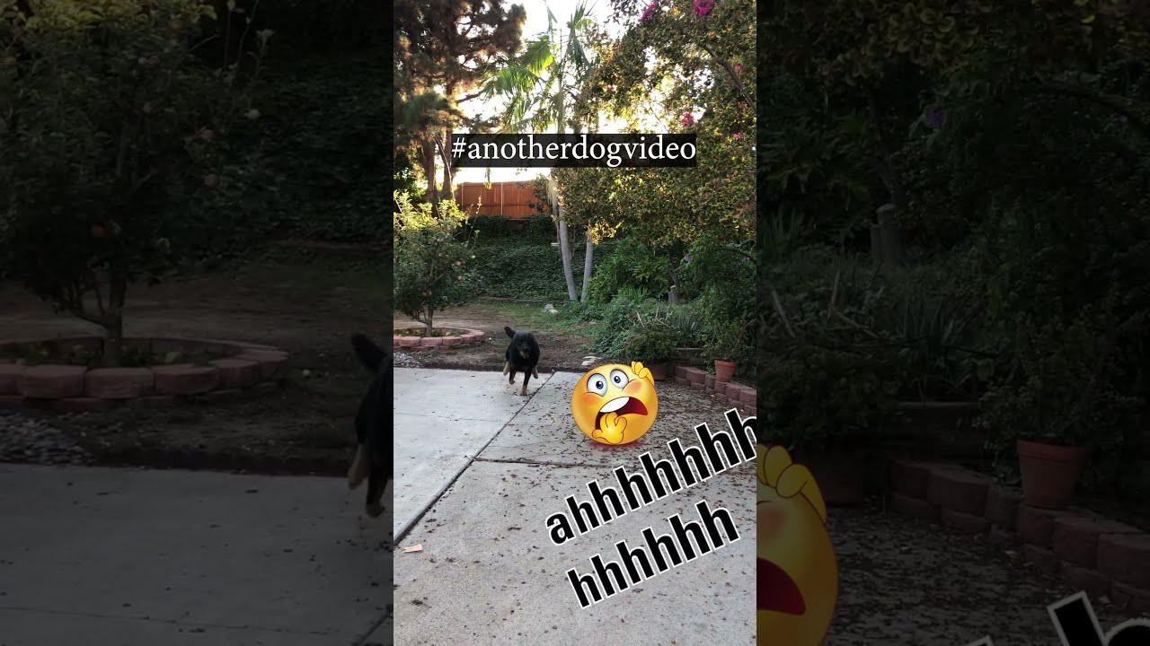 Running into the weekend like... - YouTube