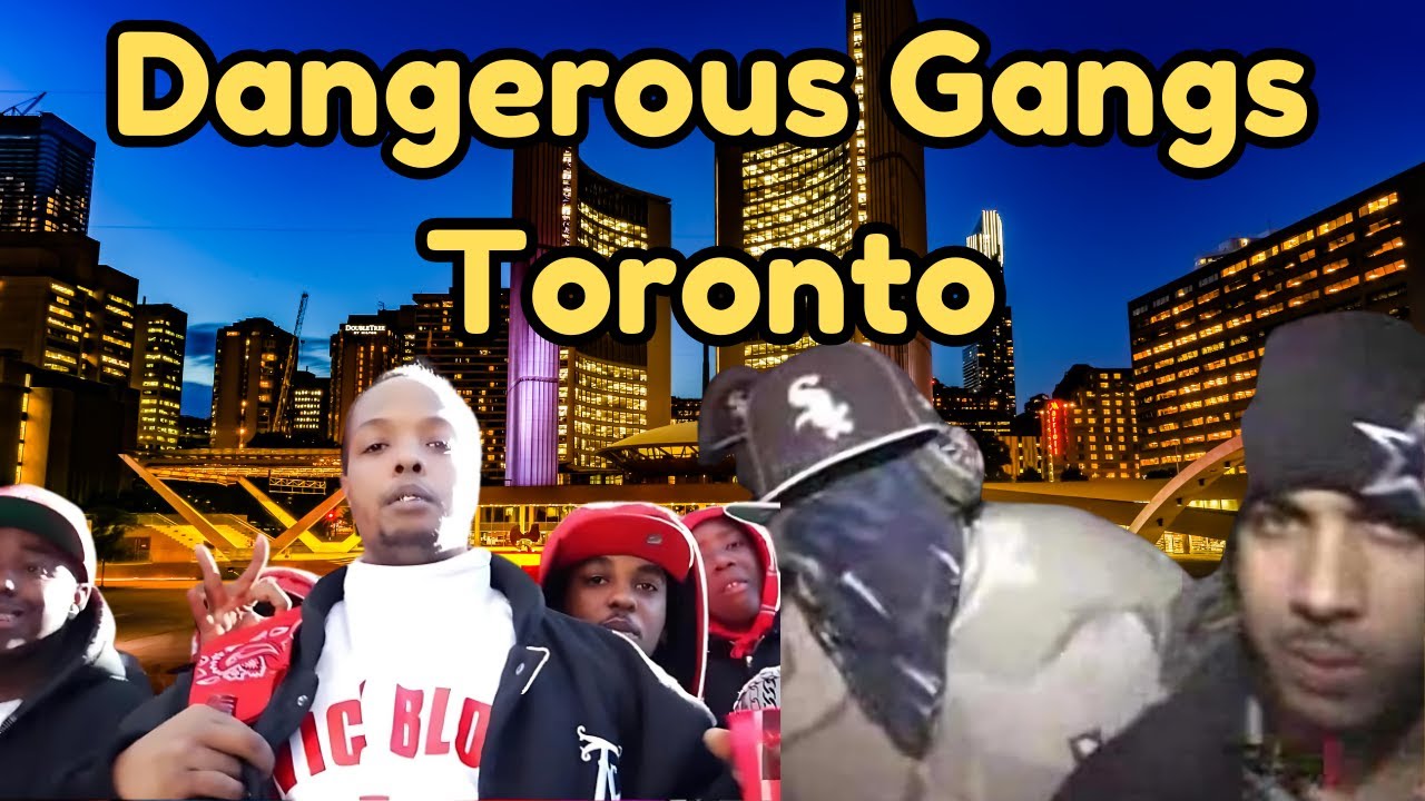 Dangerous Gangs of Toronto: The Rise & Fall of Notorious Crews (Crips ...