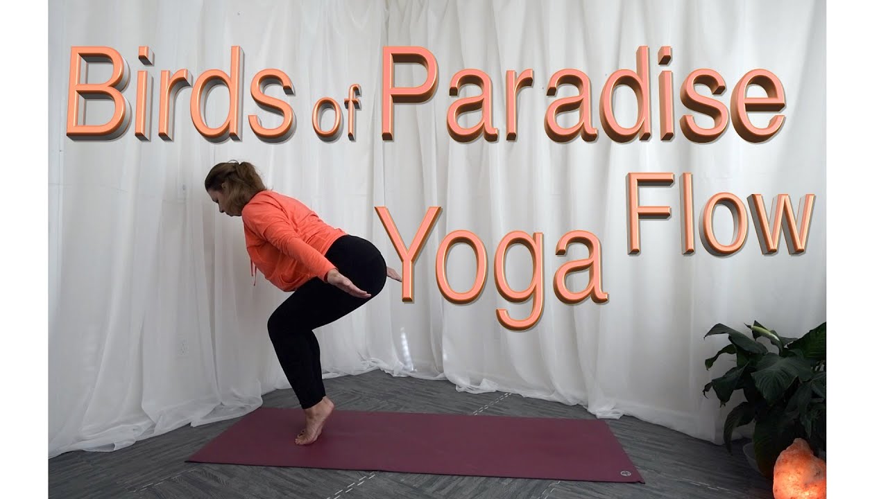 Yoga Flow | Birds of Paradise | Bliss Findings - YouTube