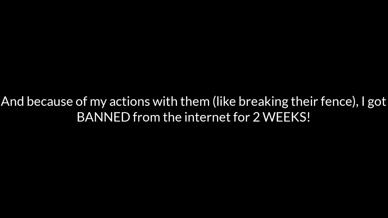 Sad News Announcement Video YouTube sad-news-announcement-video-youtube
