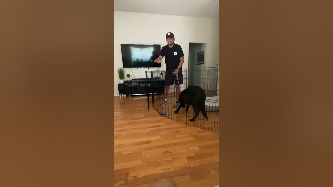 Pennys Training Lesson 1 1 Of 3 Youtube