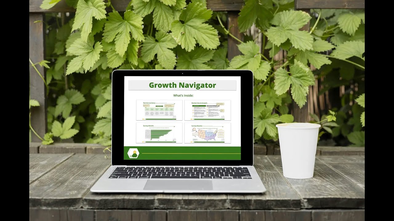 Growth Navigator - Accelerate Your Decision Making Process! - YouTube