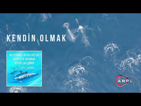 Ülker Uzun Polat - Kendin Olmak (Delphinus Bilgeliği)