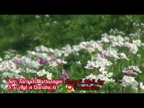 Super Şeir _ Daglar 2020 _  Ayten Qarabagli