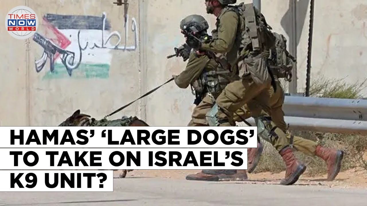 Hamas’ 'Large Dogs' vs. Israel's K9 Unit? 17 IDF Dogs Killed? More ...