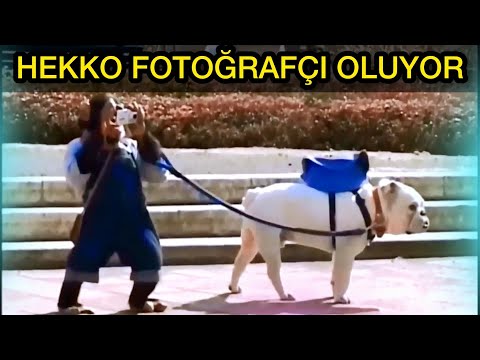 MAYMUN HEKKO FOTOĞRAFCIDAN KAZIK YİYOR !