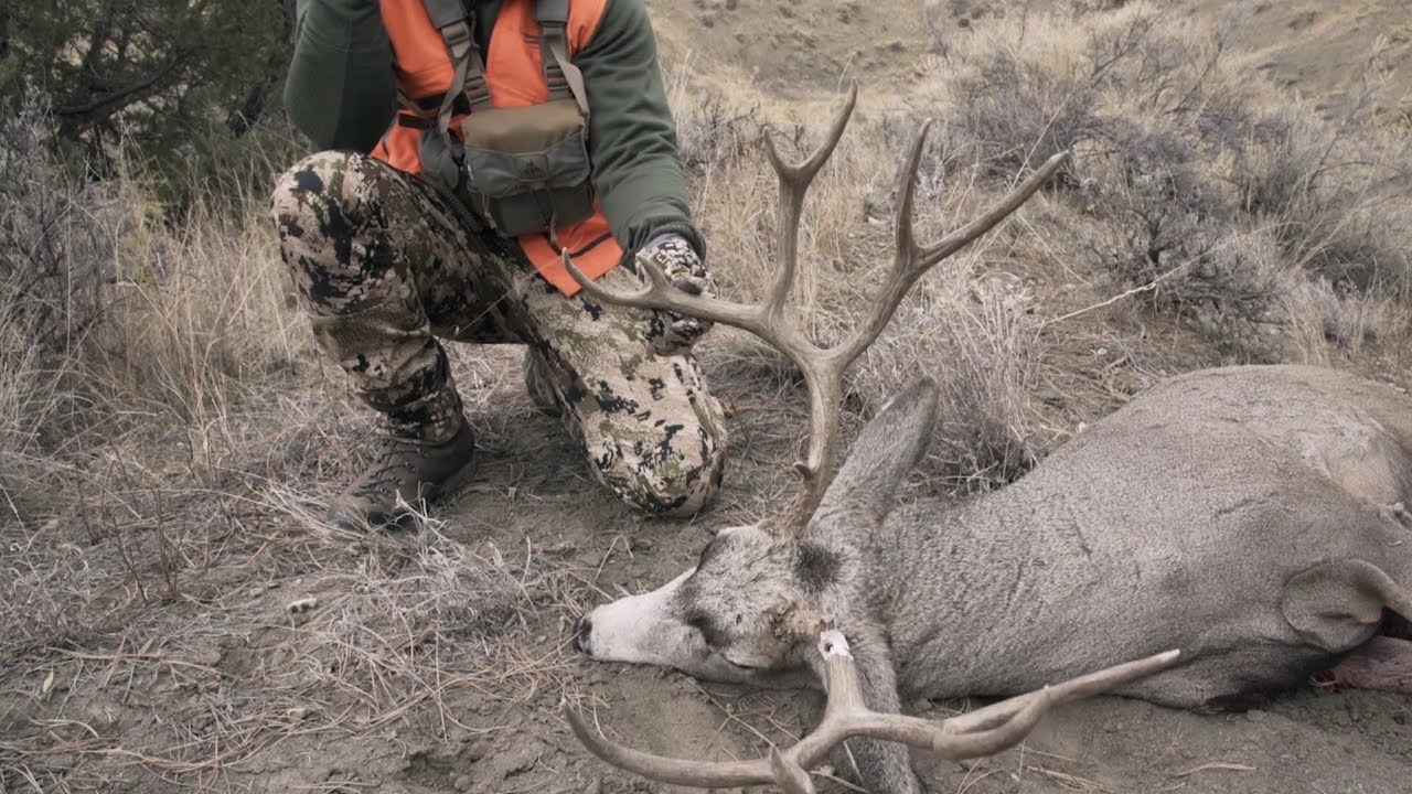 Bullet Hole Antler Buck - Montana Deer Rifle Hunt - YouTube