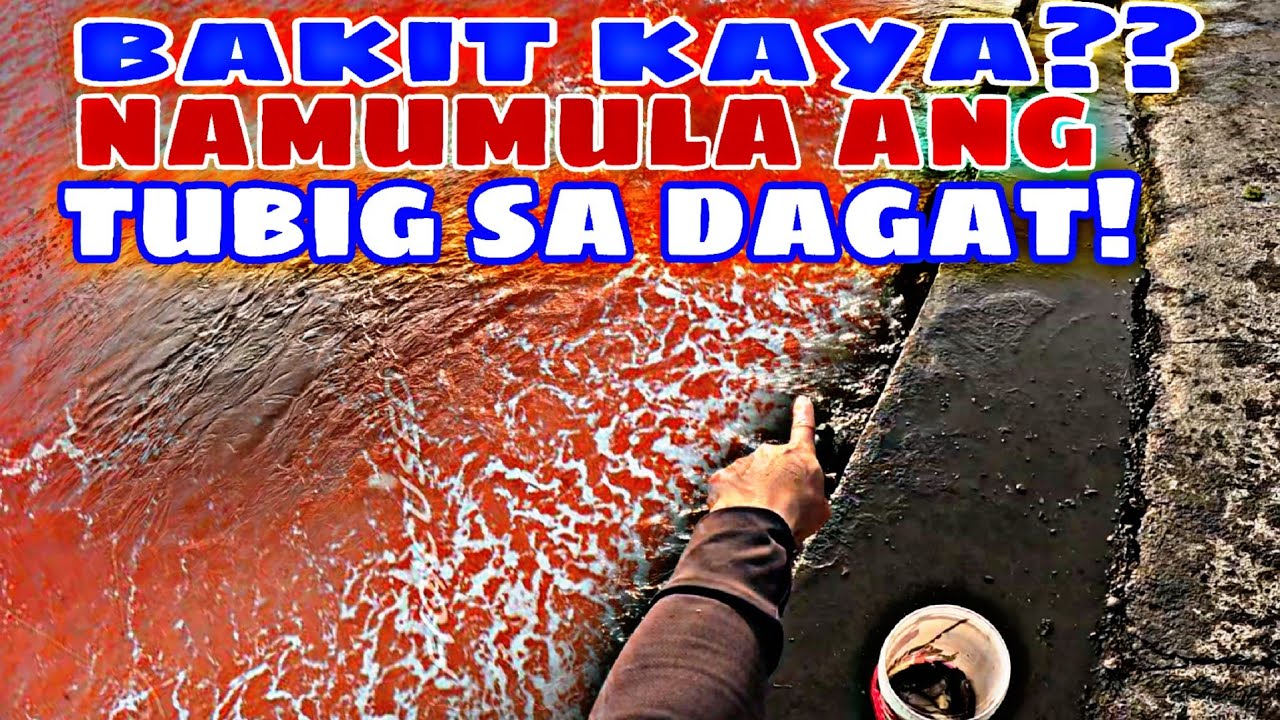 BAKIT KAYA??? NAKAKAGULAT NAGKULAY PULA ANG TUBIG SA DAGAT!!! - YouTube