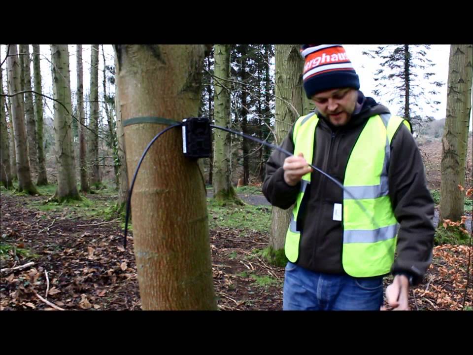 Citizen science pine marten training video 2 - YouTube