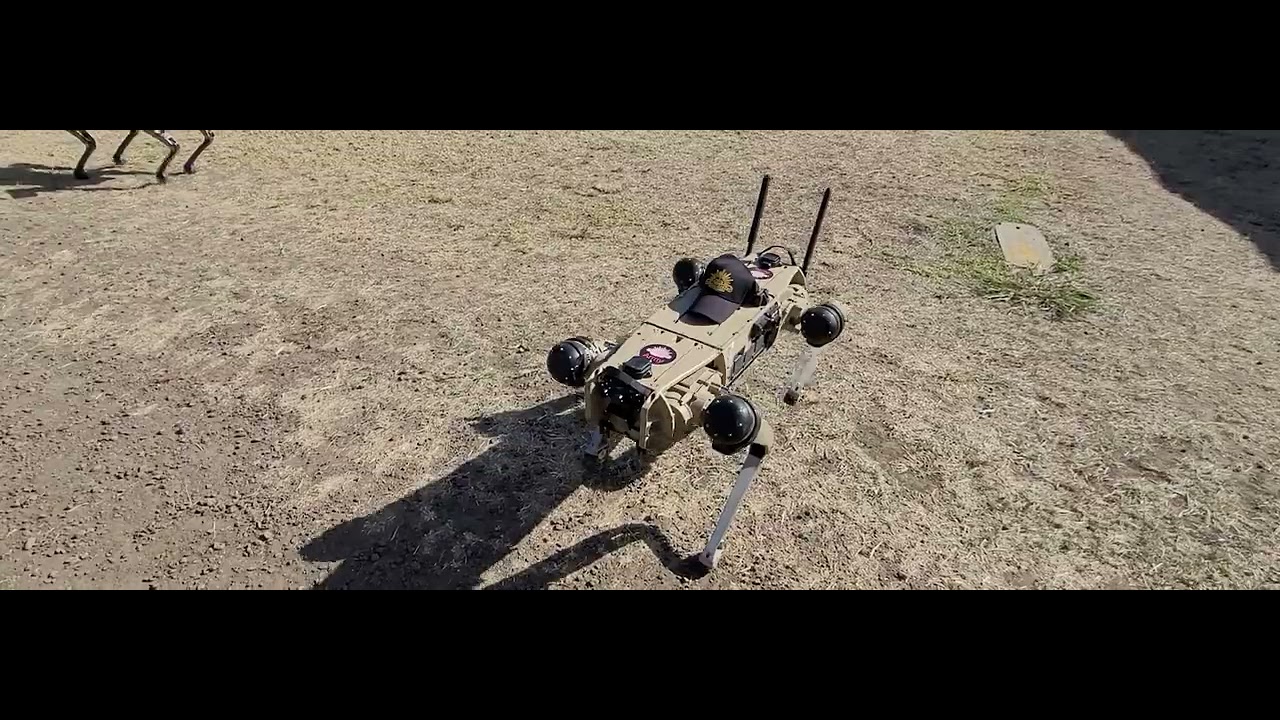 The Incredible Bulk - Dogs of war - YouTube