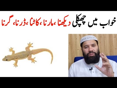 khwab mein chipkali dekhna kaisa hai | lizard dream meaning | chipkali dekhna khwab mein