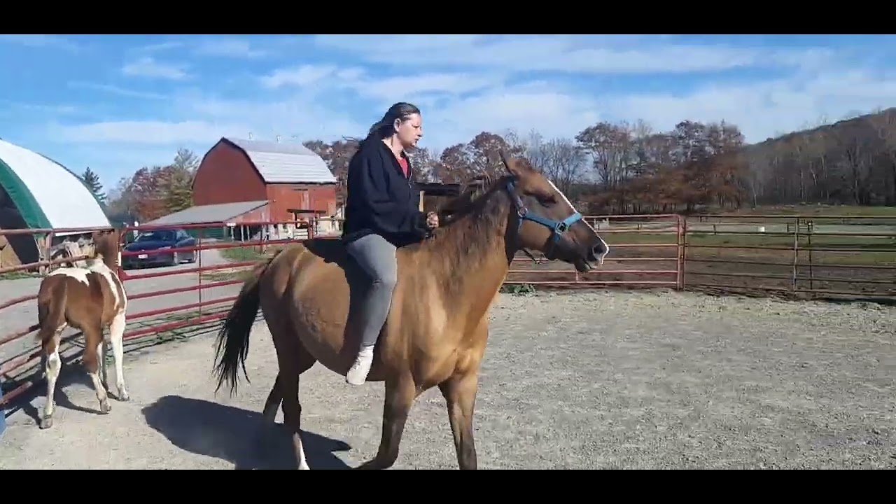 1st time riding tackless - YouTube