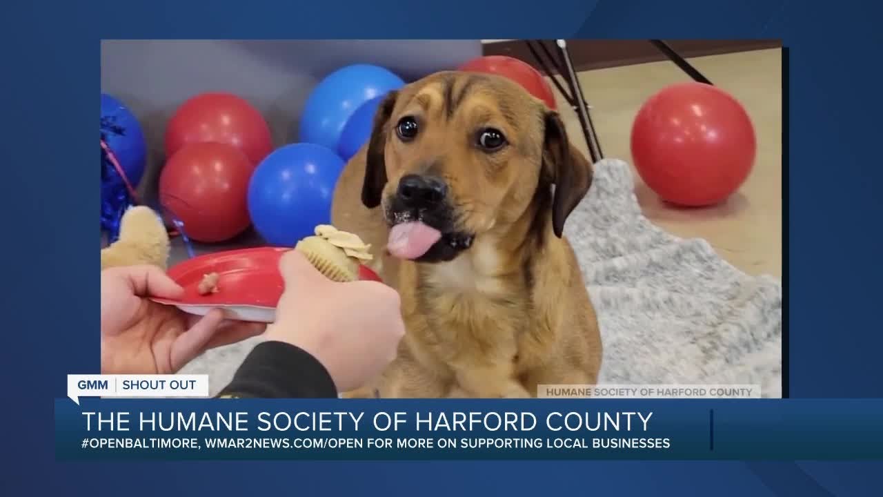 Good Morning Maryland from the Humane Society of Harford County - YouTube