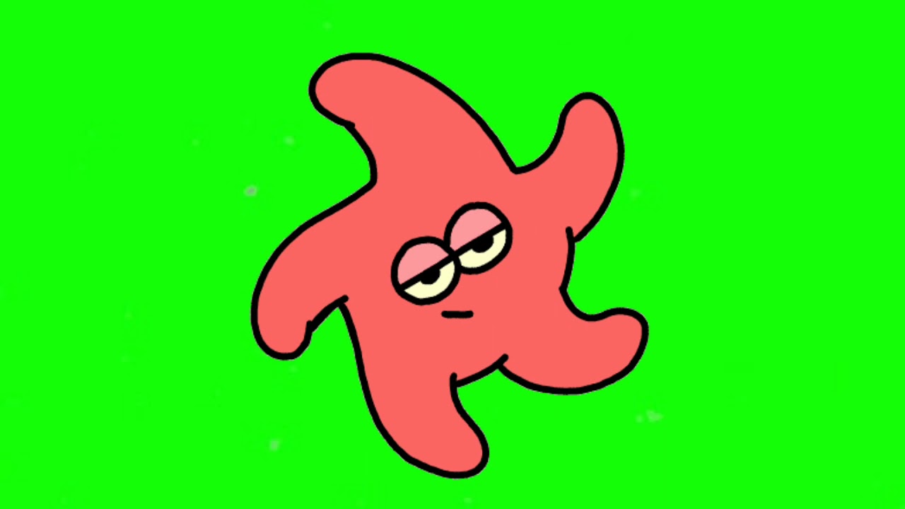 starfish animated green screen video for Youtubers. - YouTube