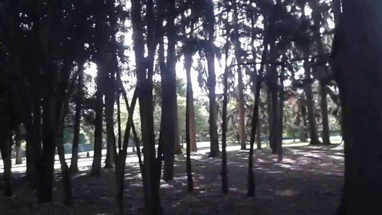 Adler Park DGC in Libertyville - YouTube