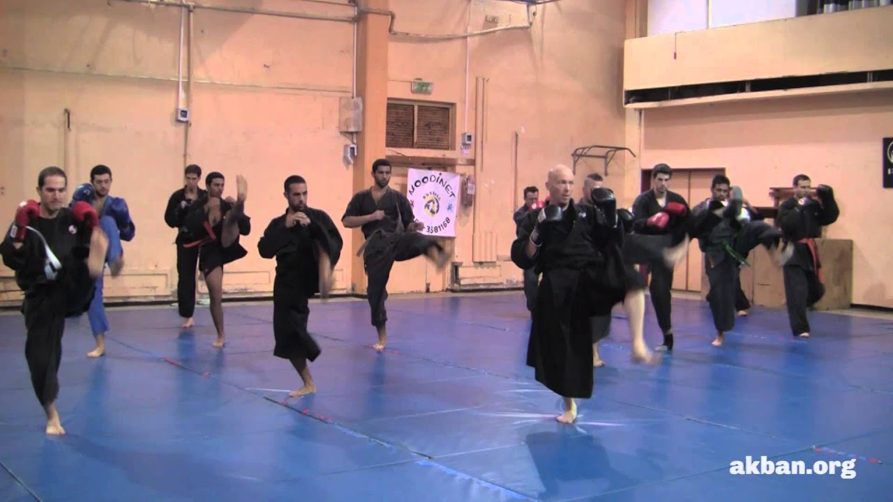 'Train at home' Alternating sabaki push kick training - Ninjutsu, AKBAN ...