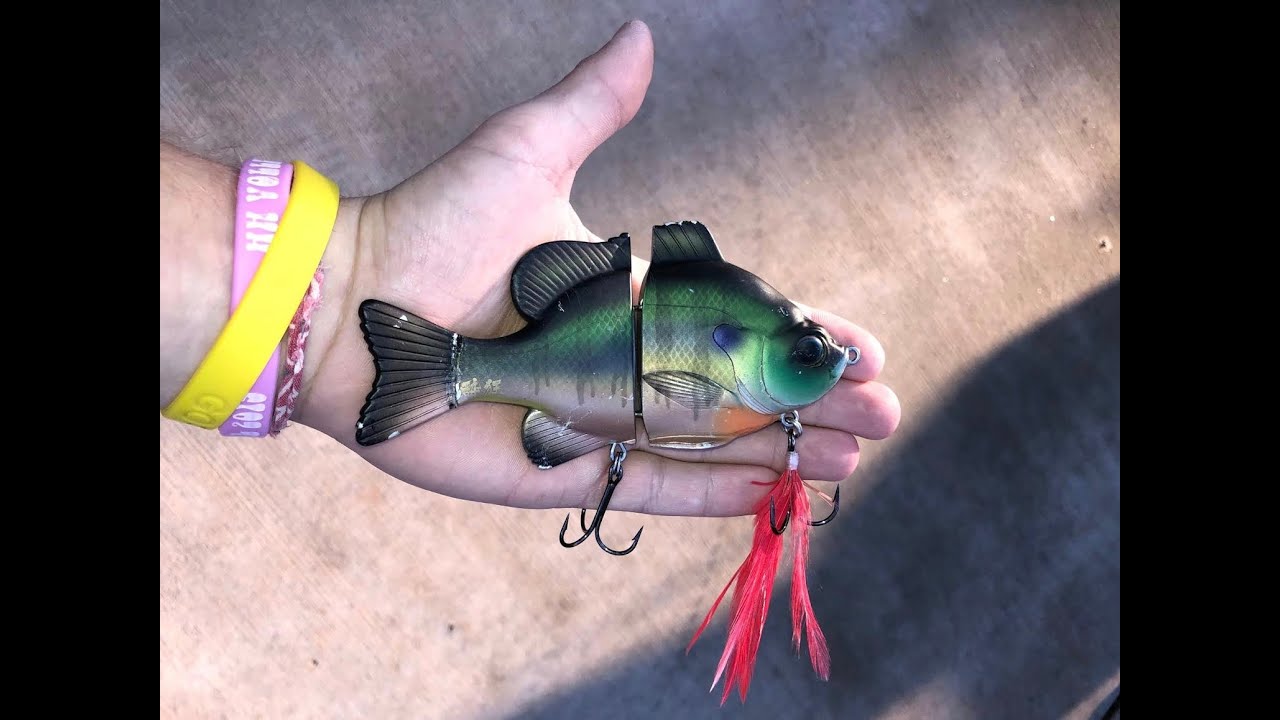 GIANT Japanese bluegill glidebait catches MONSTER - YouTube