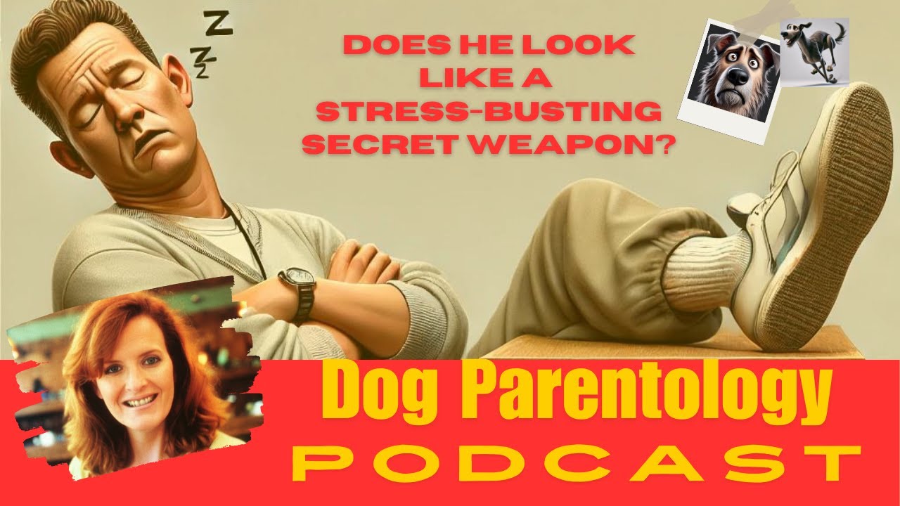 Ep. 4 Healing Your Dog's Trauma Induced Behaviour - YouTube