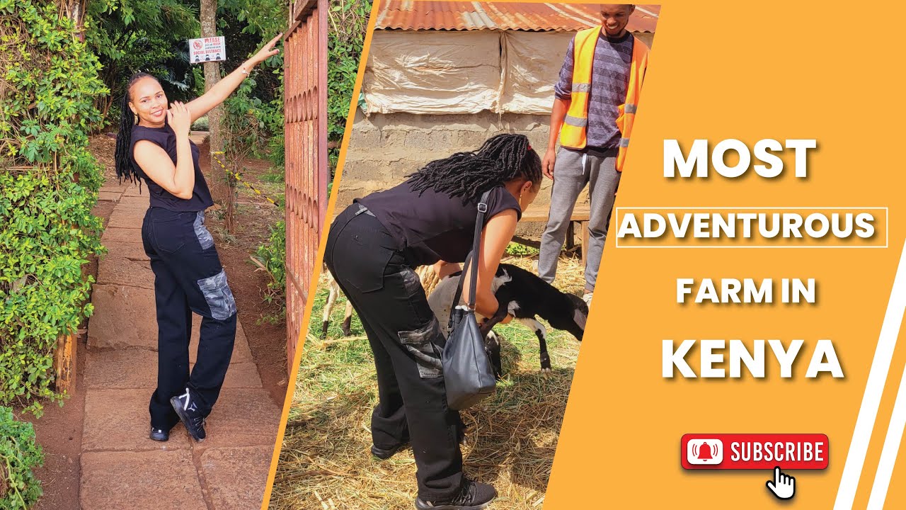 ADVENTURE FARM KAREN- NAIROBI - YouTube