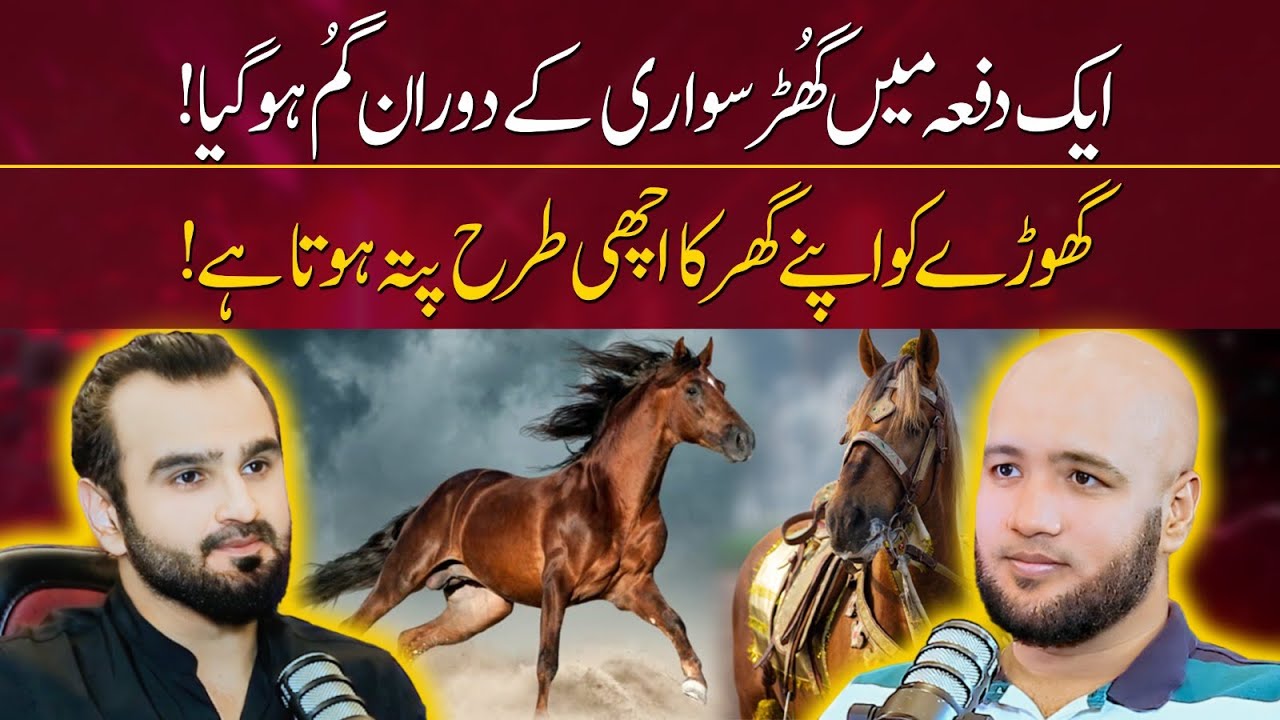 Dr Fahad Jamil Unbelievable Horse Riding Incident! | Hafiz Ahmed ...