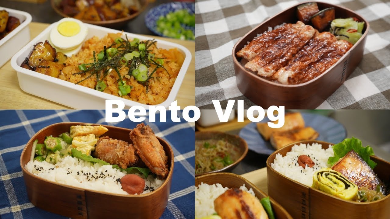 Bento Vlog - A week of bento boxes | making doria (rice gratin ...