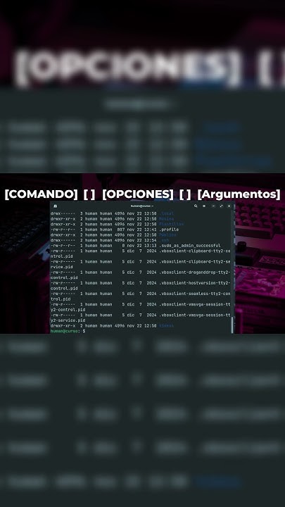 El comando LS en Linux #comandoslinux #terminal #linux #gnu #Curso #cursoonline #Tutorial - YouTube