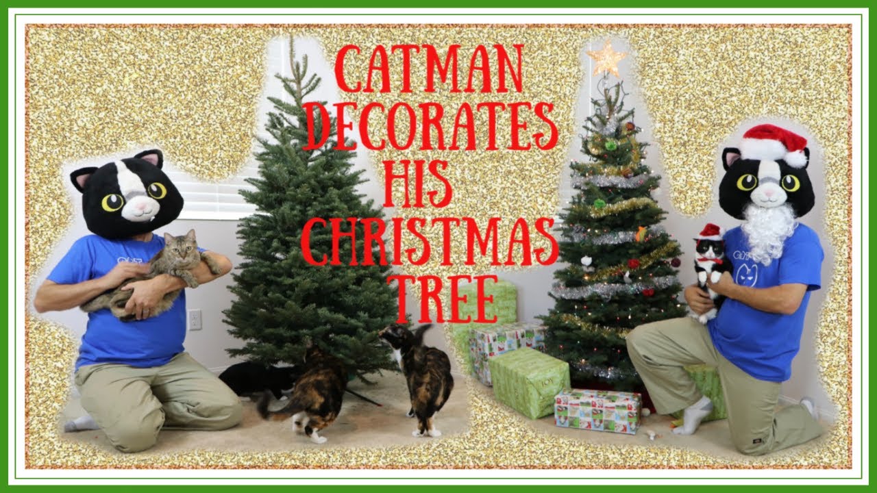 CATMAN GETS A CHRISTMAS TREE - YouTube