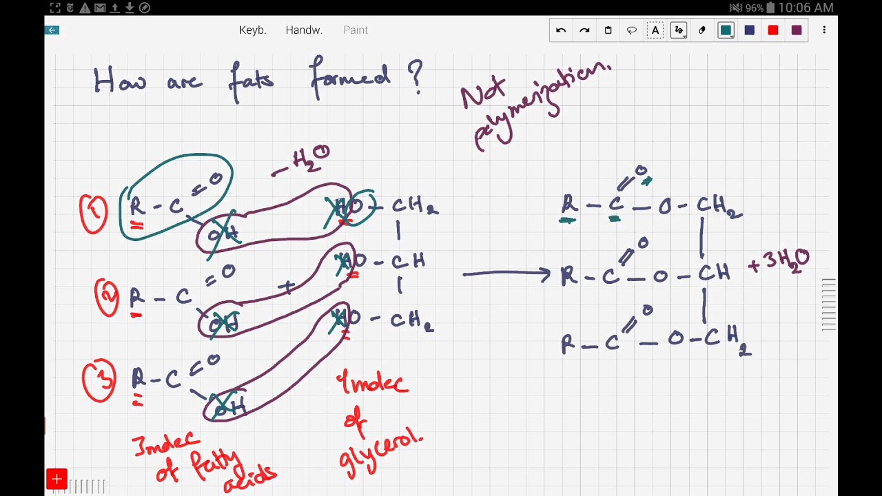 iGCSE / GCSE Chemistry: How to make fats? (14.23) - YouTube