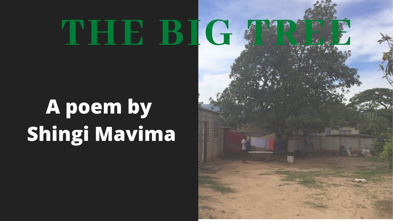 Shingi Mavima- The Big Tree (Poem) - YouTube
