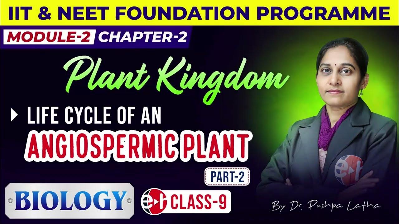 16. Life Cycle of an Angiospermic Plant (Part-2) | Plant Kingdom-II | Module-2 | Class-9 ...