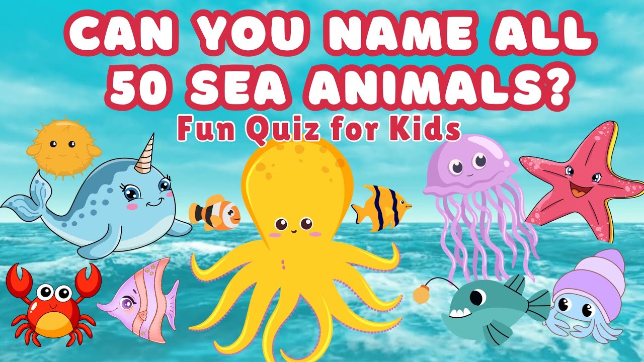 The Ultimate Sea Animal Quiz! Can You Name All 50? | Fun Ocean Quiz for ...