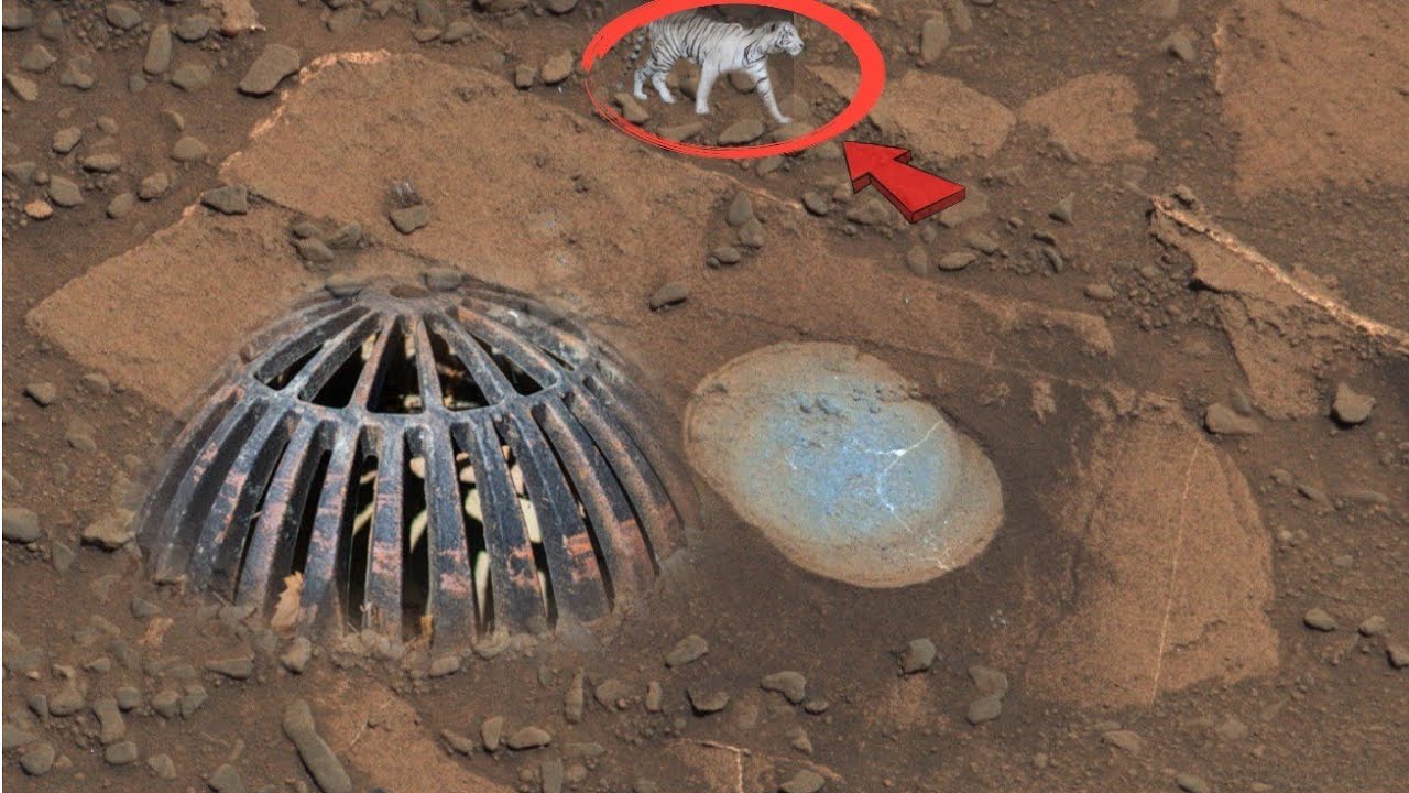 Video of Mars Latest 4k Footage on Mars Surface||Mars New Footage ...
