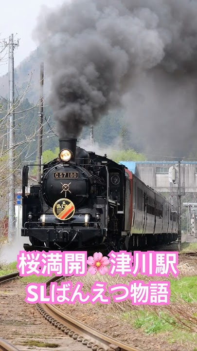 4Kshorts C57「SLばんえつ物語」桜満開の津川駅発車！JR East Railway Steam locomotive class C57 departing Tsugawa ...