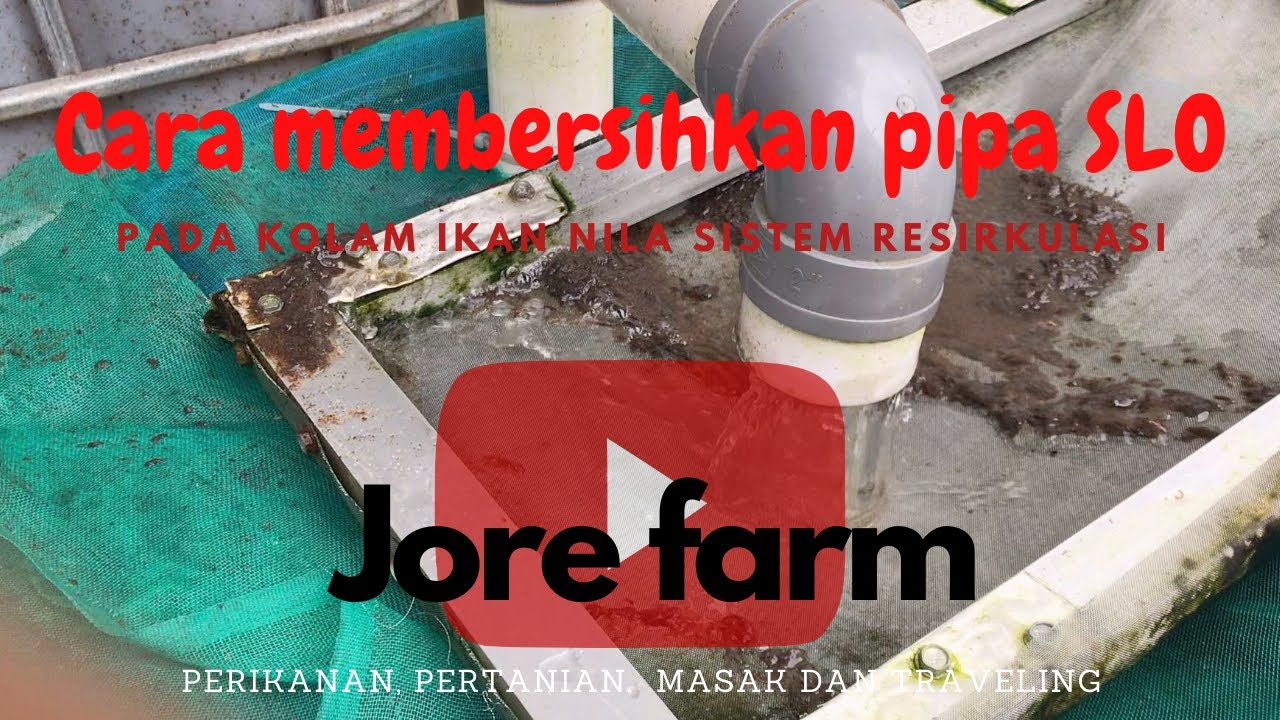 Cara membersihkan saluran pembuangan pada kolam sistem Resirkulasi SLO ...