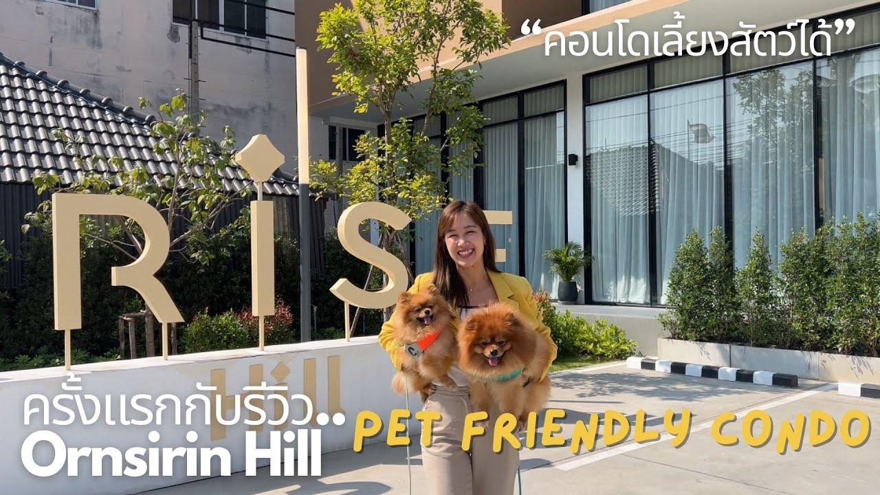 พาทัวร์คอนโดเลี้ยงสัตว์ได้ เชียงใหม่ Pet Friendly Condo ที่ Arise Hill ...