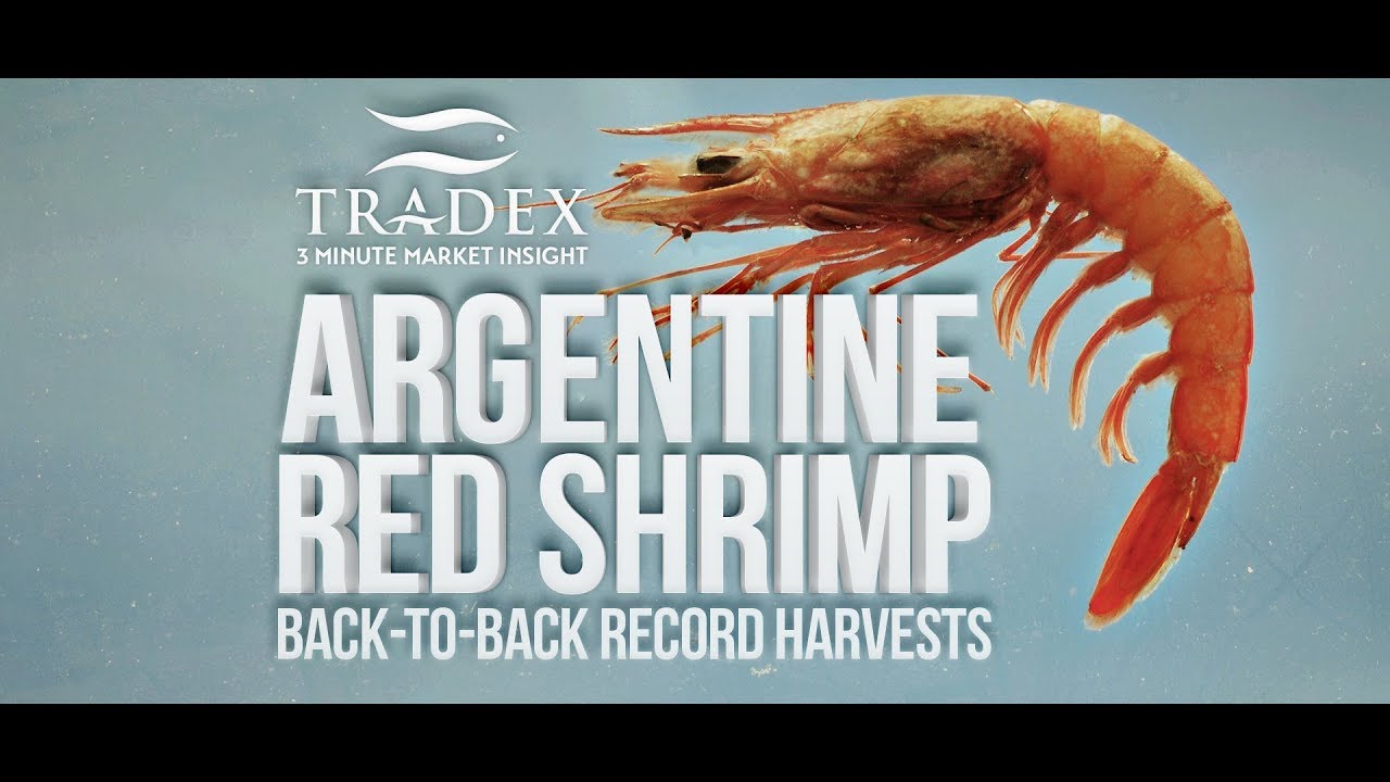 3MMI - Record High Argentine Red Shrimp Harvest Getting More N.A. Buyer ...