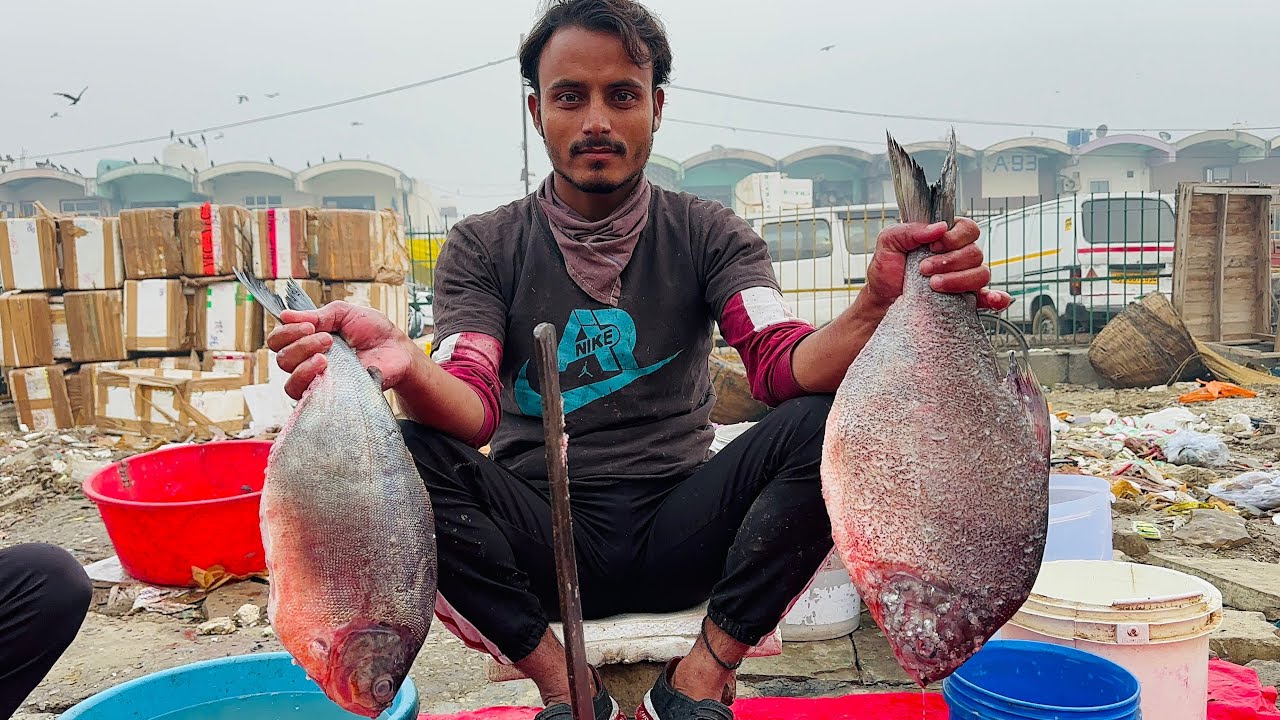 Amazing Rupchanda Fish Cutting Skills |Red Pomfret Fish Cutting In ...