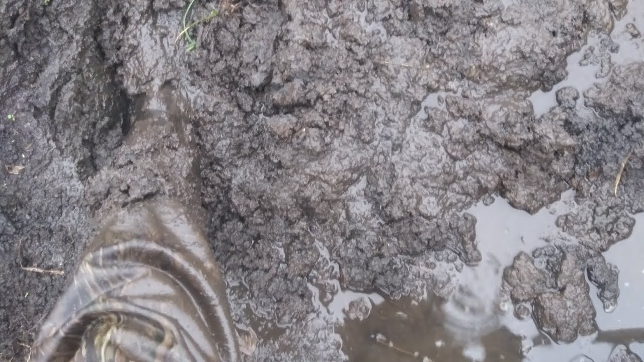 Stuck in a farmer's ditch with waders in the rain - YouTube