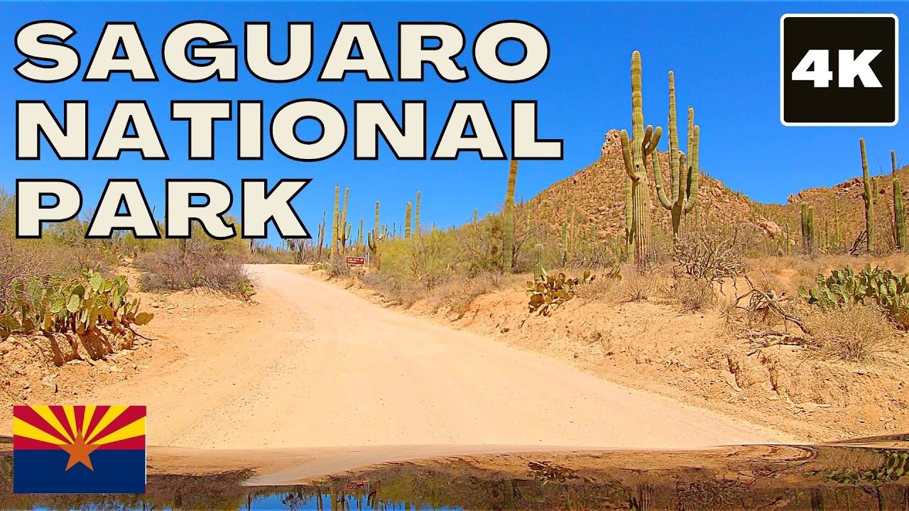 🌵 Saguaro National Park 4K drive (Bajada Loop) - Tucson, Arizona - YouTube