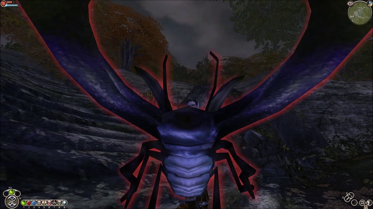 Fable: Shorts - The Stupendous Stag Beetle - YouTube