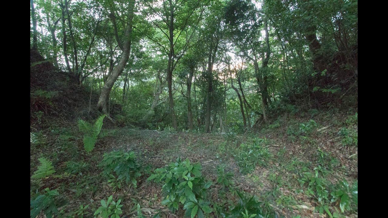 Nago Castle (Okinawa) / 名護城 (沖縄) - YouTube