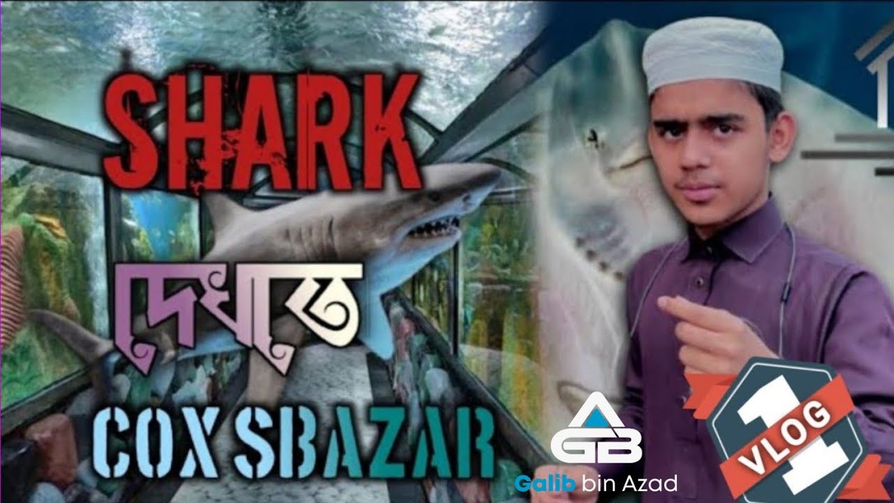 কক্সবাজার সাগর তলের রহস্য । Coxbazar Fish word. Asadullah galib. Vlog 1 ...