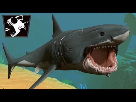 LE GRAND REQUIN BLANC VS MÉGALODON ! (Feed and Grow #85)