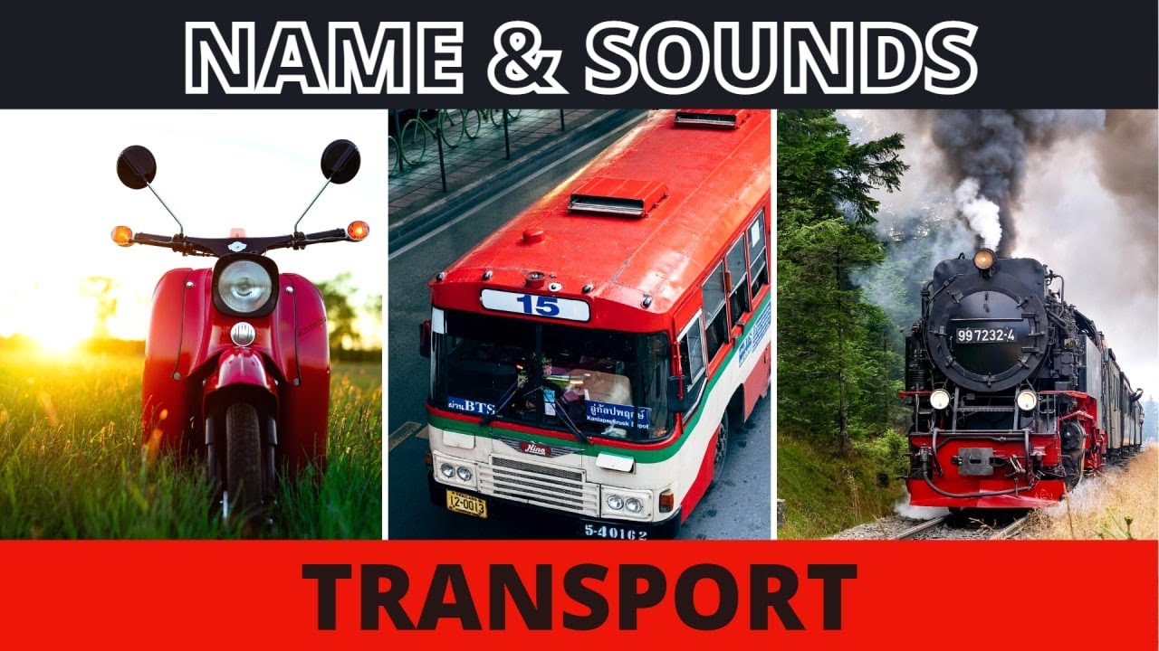 TRANSPORTATION | Name & Sounds, Kids vocabulary, Learn for Preschool ...