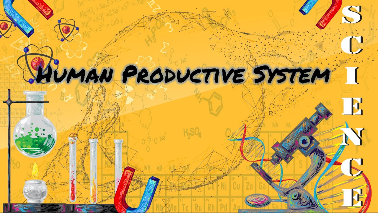Human productive system Science M.2 - YouTube