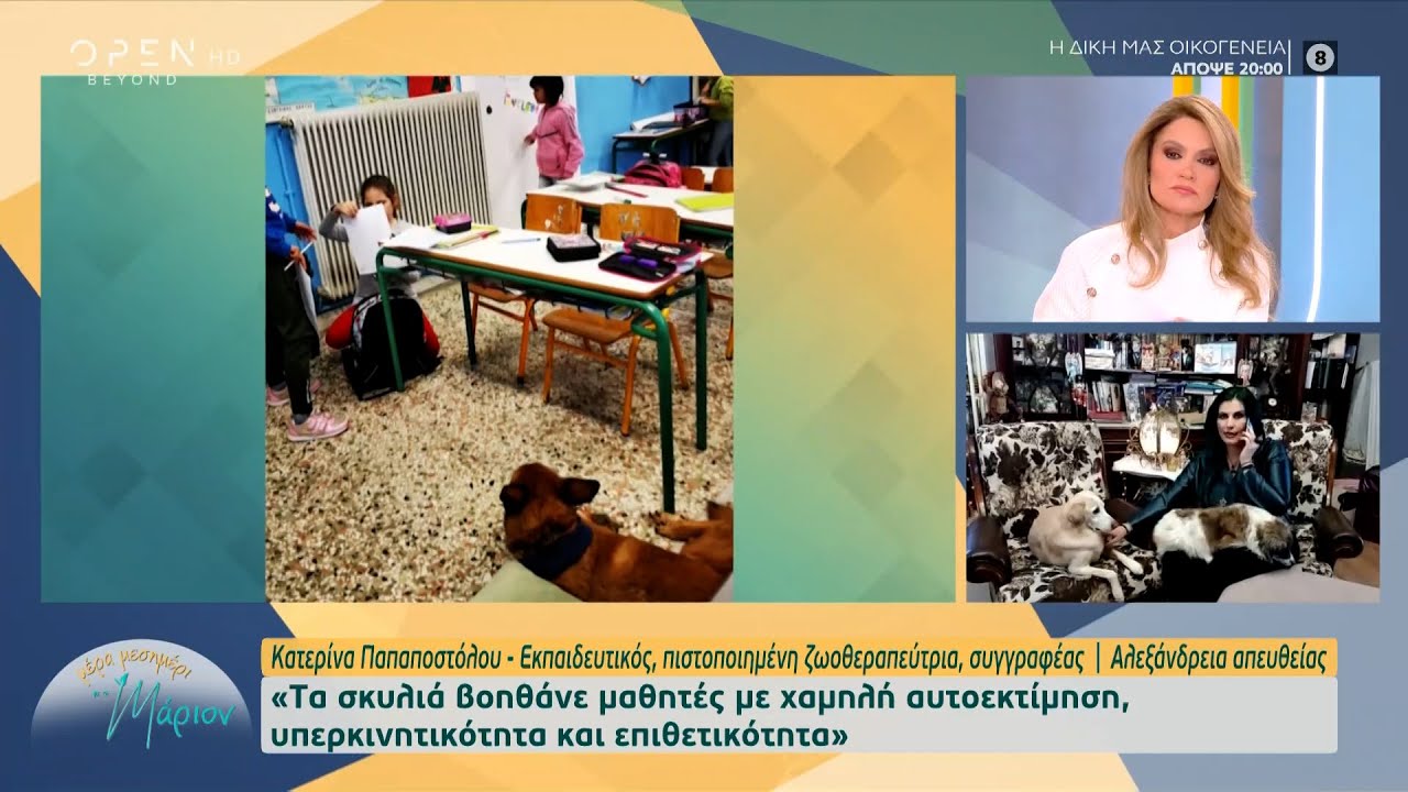 Η εκπαιδευτικός μαζί με τα σκυλιά που «δουλεύουν» σε εκπαιδευτικό ...