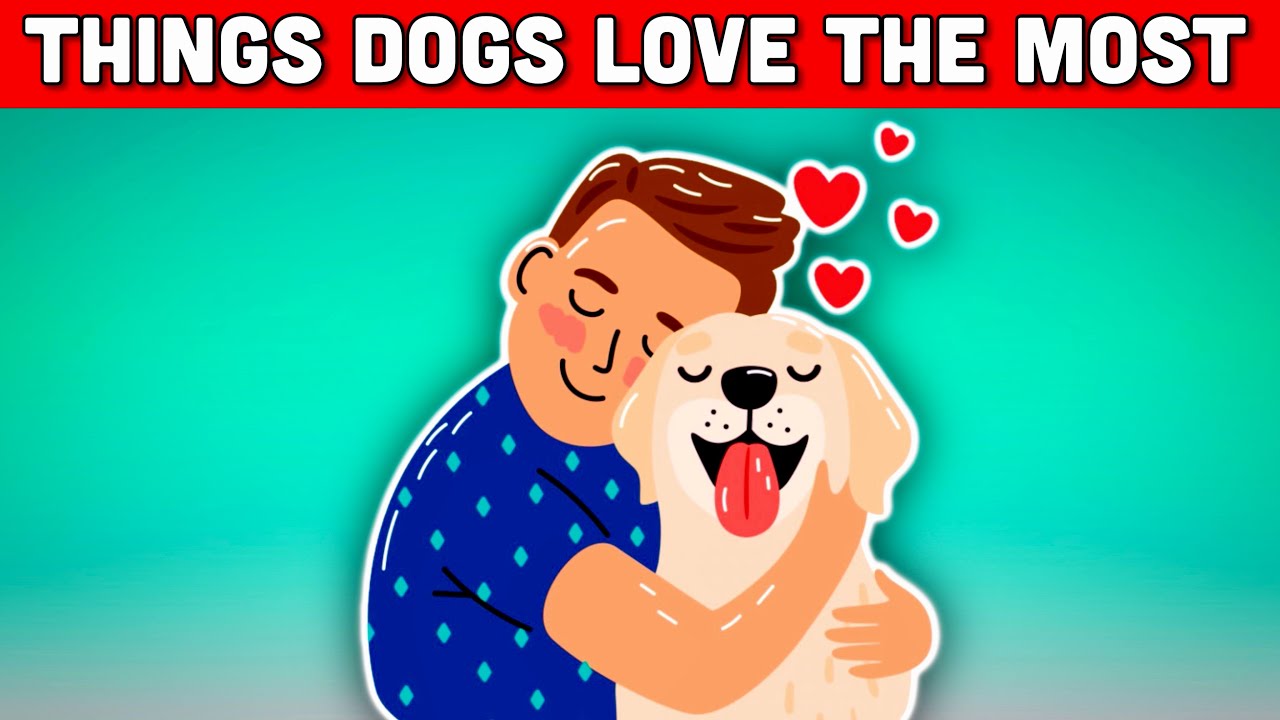 10 Things Dogs Love The Most - YouTube