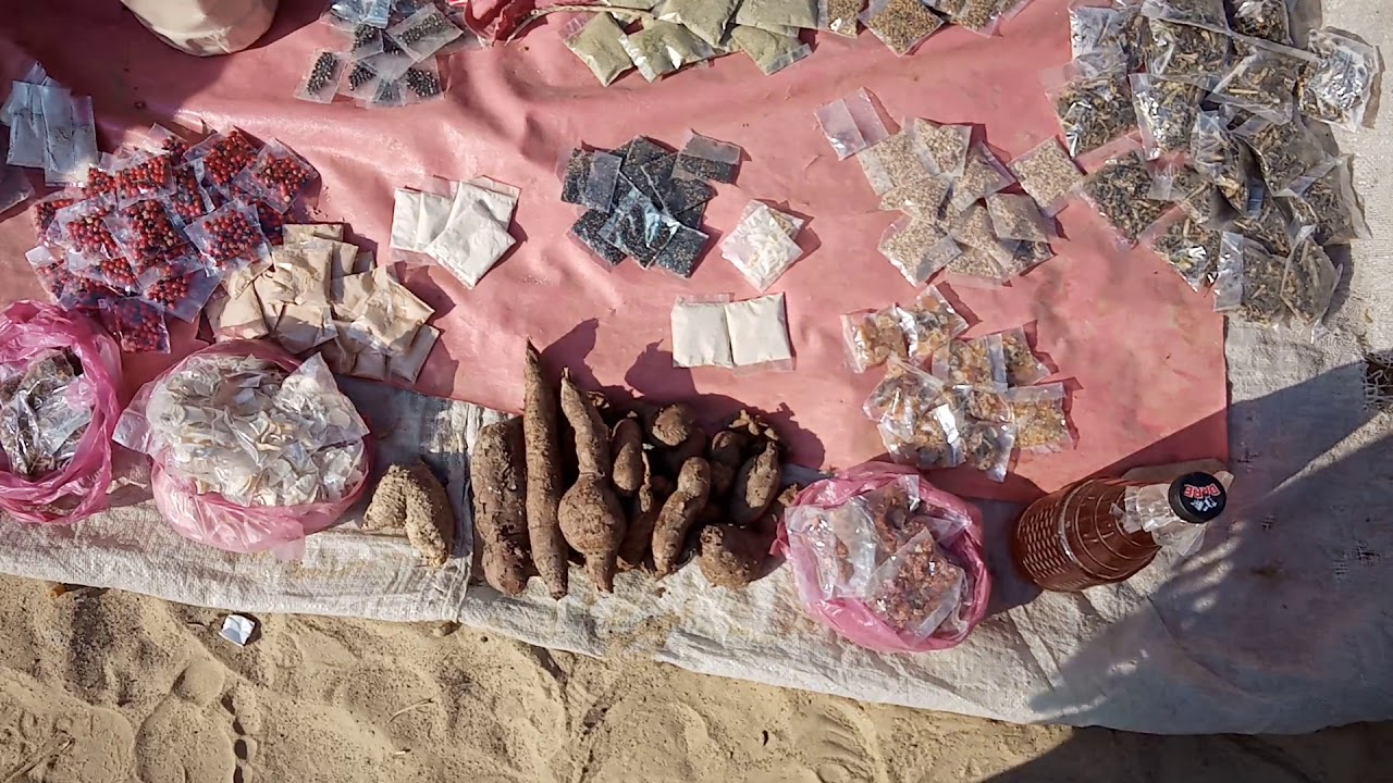 Medicinal plant of Thar - YouTube